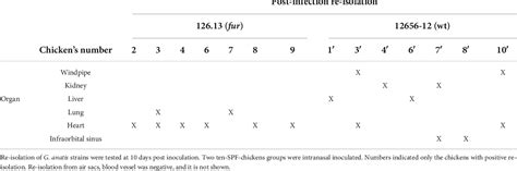 Table 1 From A Putative Siderophore Receptor Of Gallibacterium Anatis