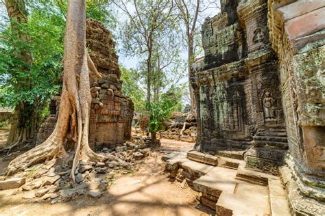 Ta Prohm A Mysterious Temple Of The Khmer Civilization Located On The