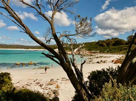 Bay Of Fires Tiny Home All Accommodation Discover Tasmania
