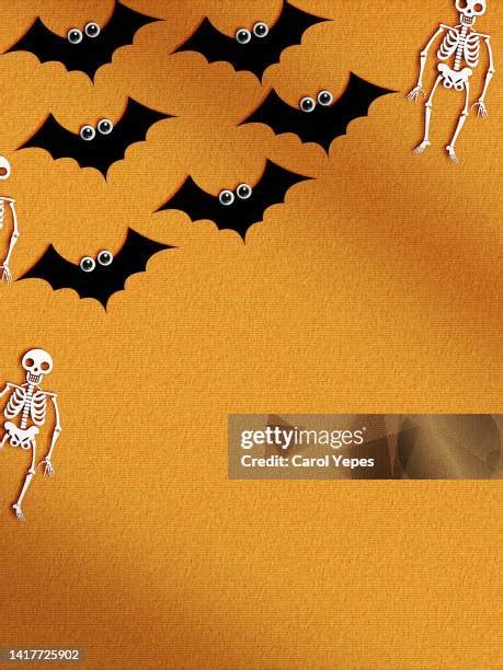 Corn Spider Photos And Premium High Res Pictures Getty Images