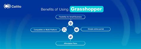 Best Grasshopper Alternatives Top 10 Competitors In 2025