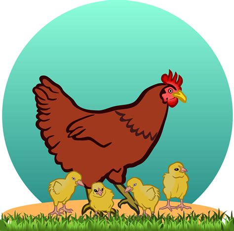 Más De 200 Ilustraciones De Pollitos Y Naturaleza Gratis Pixabay