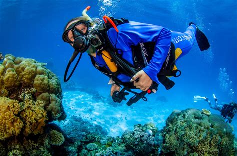 Scuba Diving Coral Reef