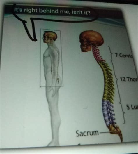 Its Right Behind Me Isnt It Blank Template Imgflip