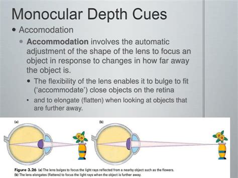 Ppt Depth Principles Powerpoint Presentation Free Download Id2565358