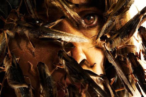 The Swarm Where To Stream And Watch Decider