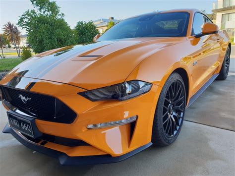 Apistogramma Panduro Sex Rapistogramma