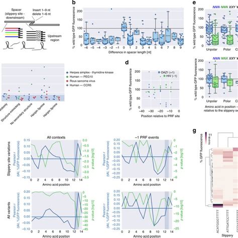 A Massively Parallel Reporter Assay For Programmed Ribosomal