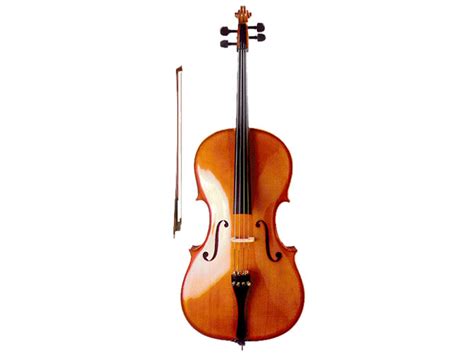 ViolonČelo O Violoncelu