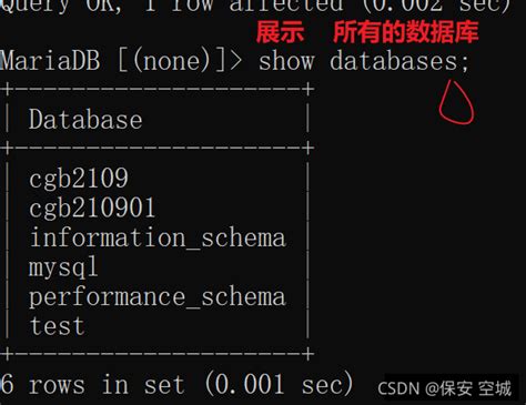 数据库操作指南 csdn博客