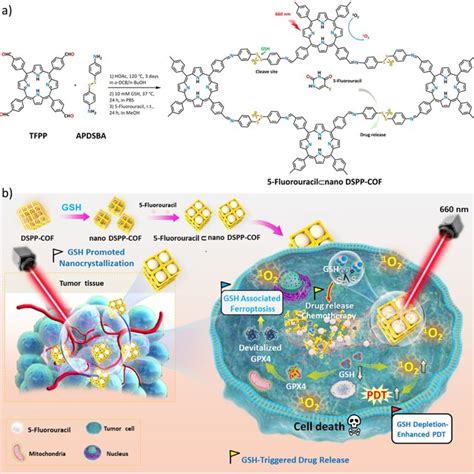 A Synthesis Of Dspp Cof Nano Dspp Cof And 5 Fu⊂nano Dspp Cof B