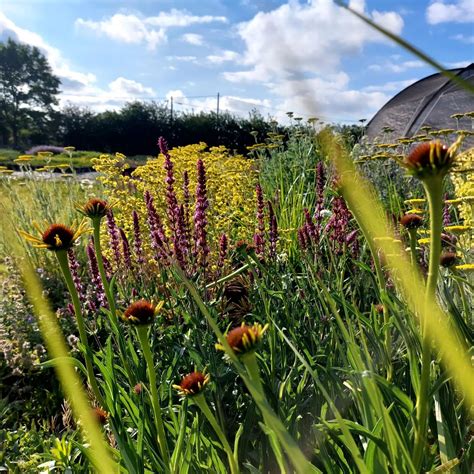 Flora Conservation Added A New Photo Flora Conservation