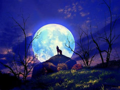 Super Moon Wallpapers 4k Hd Super Moon Backgrounds On Wallpaperbat