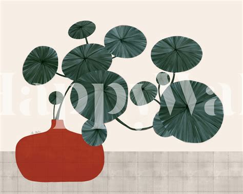 Stephonia Erecta Plant Wallpaper Happywall