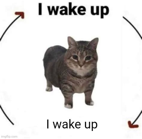 I Wake Up Imgflip
