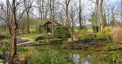 Mouse Hunt To Be Held At Historic 25 Acre Surrey Estate Surrey Live
