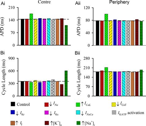 Role Of Each Individual Ischemic Action On Apd A And Pacemaking Cycle