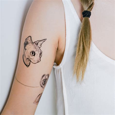 Lazy Duo Sphynx Cat Tattoos Sphynx Kitten Temporary Tattoo Stickers Hk