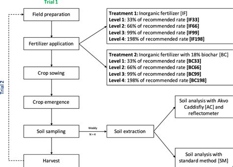 Flowchart Showing The Planning And Execution Of Fieldwork Activities