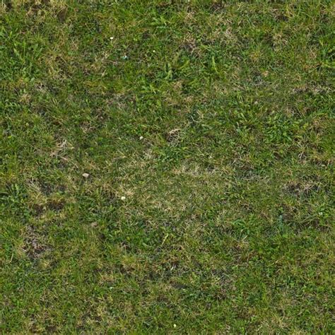 Seamless Tileable Grass Texture By Demolitiondan On Deviantart Grass