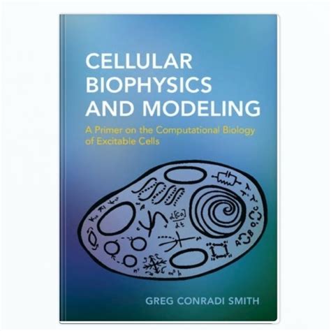 Jual Cellular Biophysics And Modeling A Primer On The Computational Biology Of Excitable Cells