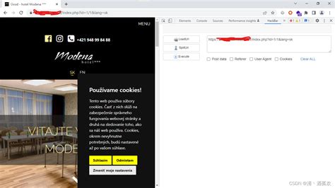渗透实战之对外国一网站进行的sql盲注测试渗透国外的站点 Csdn博客