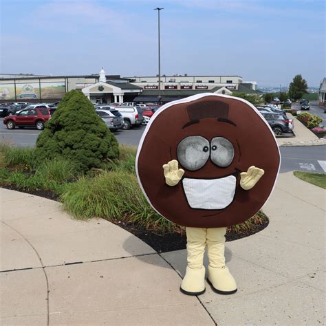 Information Shady Maple