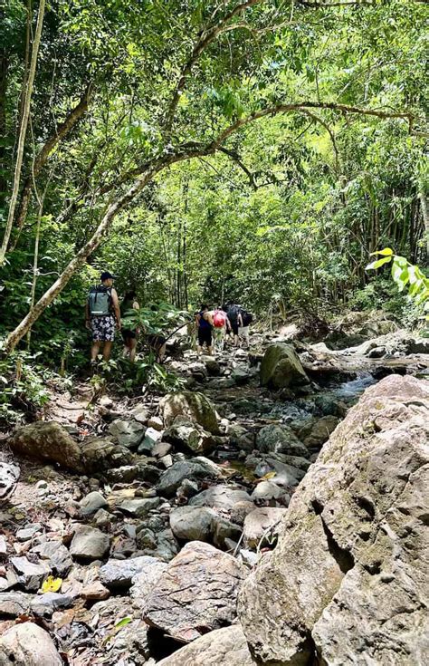 Charco Prieto Waterfall Hiking To Puerto Ricos Secret Waterfall