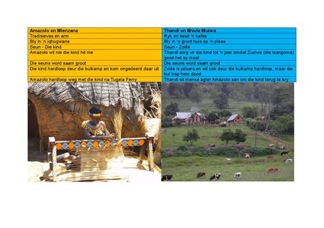 Die Kind Verskille Tussen Thandi En Amazolo • Teacha