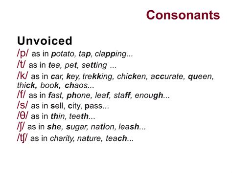 Basic Phonetics Pptx