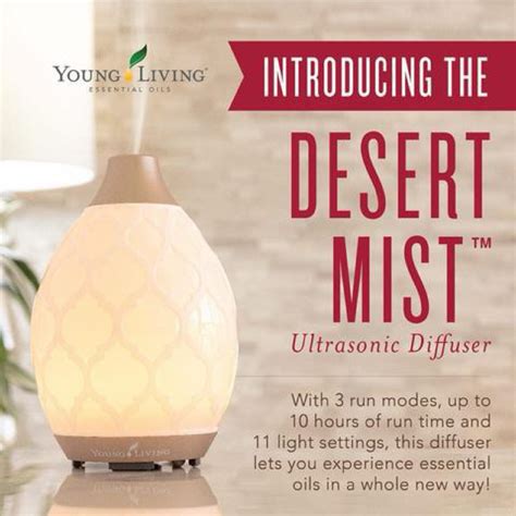 Yl Desert Mist Diffuser Preloved Shopee Malaysia