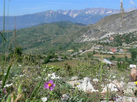 Gjeografia E Republikes Se Shqiperise Bimesia Dhe Bota Shtazore