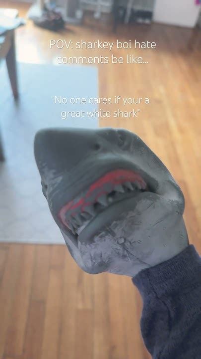 Pov Sharkey Boi Hate Comments Be Like Youtube