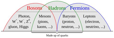 Fermion Wikipedia