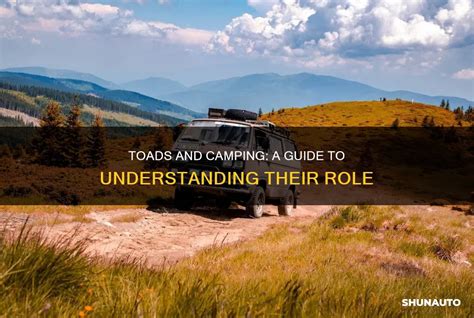 Toads And Camping A Guide To Understanding Their Role Shunauto