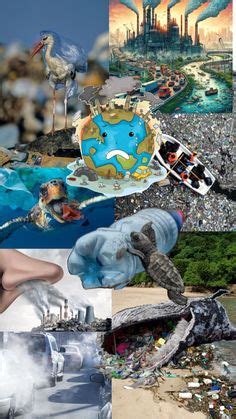 Collage De La Contaminacion Ambiental