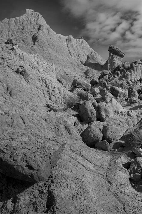 A Tree Falling Badlands National Park Saddle Pass Trail