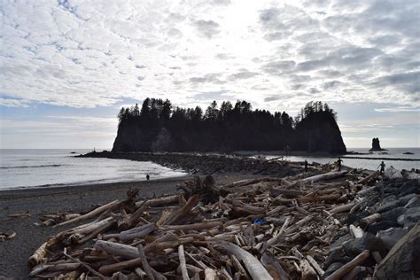 First Beach Olympic Hiking Co