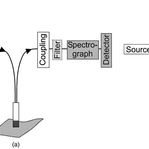 Pdf Fiber Optic Probes For Biomedical Optical Spectroscopy