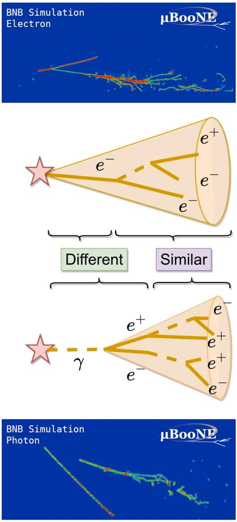 Exercise Electron Vs Gamma Separation Lartpc Mlreco D Tutorials