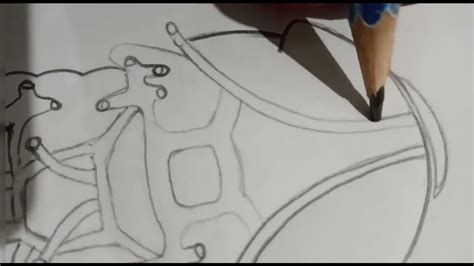 Cockroach Spiracles Drawing With Label L D T⏪ Youtube