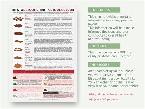 Bristol Stool Chart Digital Download Pdf Stool Health Healthy Poop