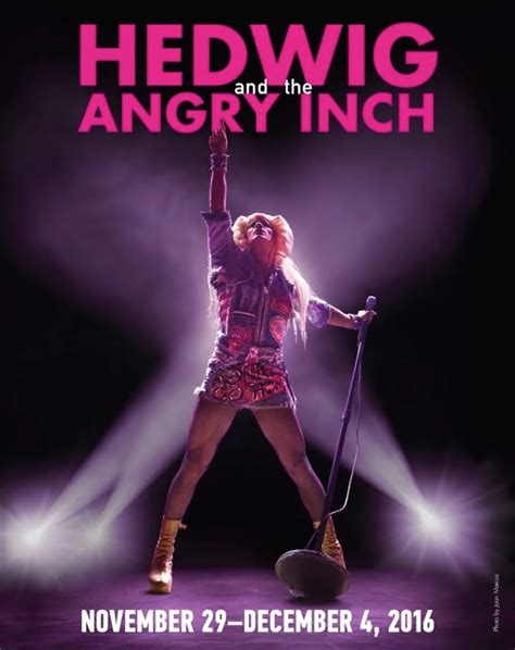 Carols Reviews “hedwig” Crosses The No Fly Zone Breaking The Sound Barrier And Lands At Civic
