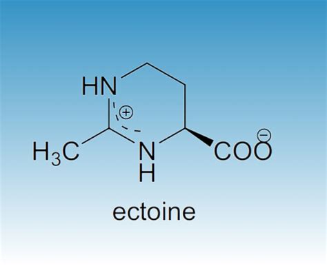 Ectoine Functions And Benefits In Skin And Eyeschemicalbook