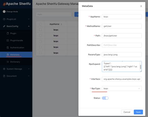 Brpc Plugin Apache Shenyu