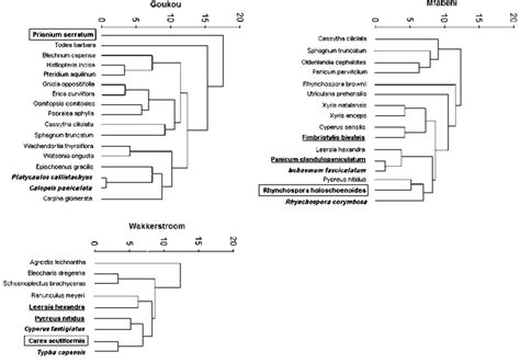 Dendrograms Based On Functional Traits Of Species Occurring In Each Of