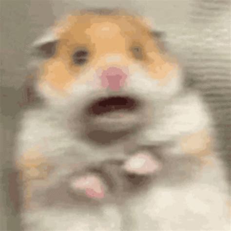 190 Reaction Images Ideas In 2025 Reaction Pictures Funny Reaction