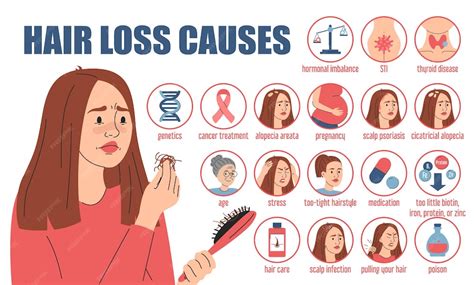 Premium Vector Hair Loss Causes Infographic Vector Isolated Web Banner