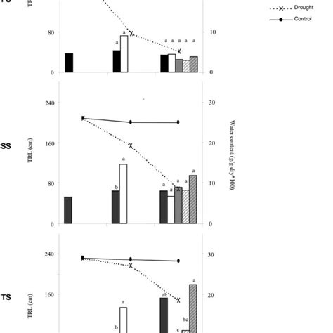 Root System Morphology Of Quercus Ilex Seedlings During Drought A