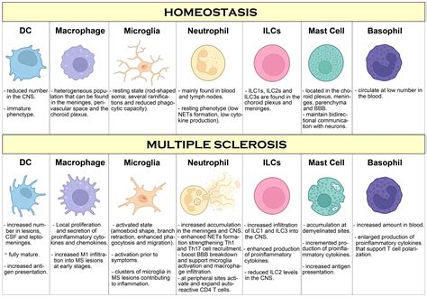 Frontiers Role Of Innate Immune Cells In Multiple Sclerosis